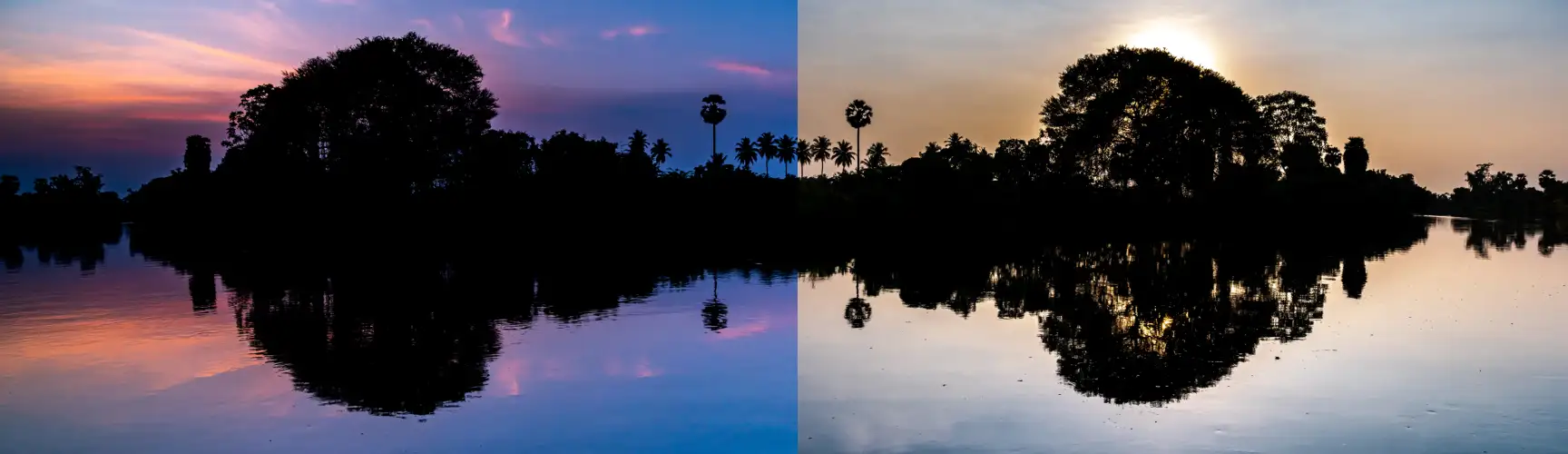 NaturePicStock - High-Quality Nature Stock Photos Website