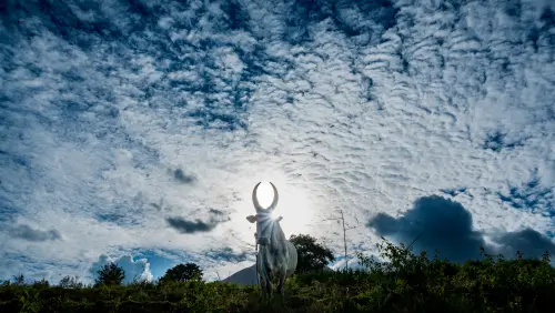 NaturePicStock - Nature Stock Images website by PrivinSathy(PicS)