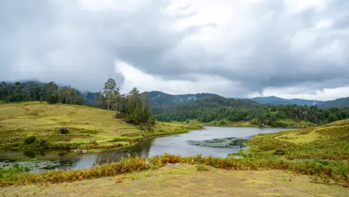 NaturePicStock - Nature Stock Images website by PrivinSathy(PicS)