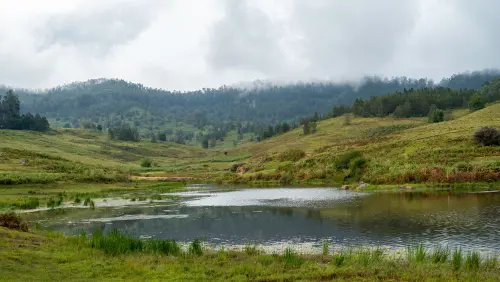 NaturePicStock - Nature Stock Images website by PrivinSathy(PicS)