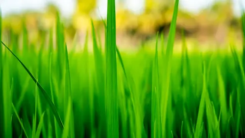 NaturePicStock - Nature Stock Images website by PrivinSathy(PicS)