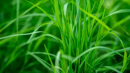 NaturePicStock - Nature Stock Images website by PrivinSathy(PicS)