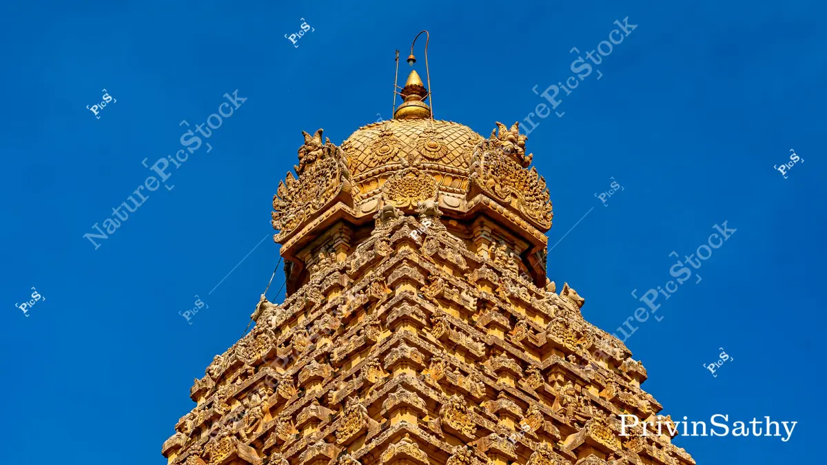 NaturePicStock - High-Quality Nature Stock Photos Website
