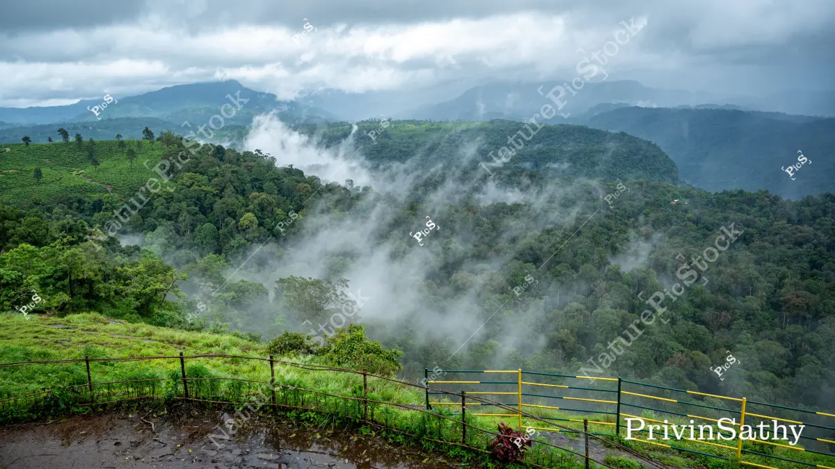 NaturePicStock - High-Quality Nature Stock Photos Website
